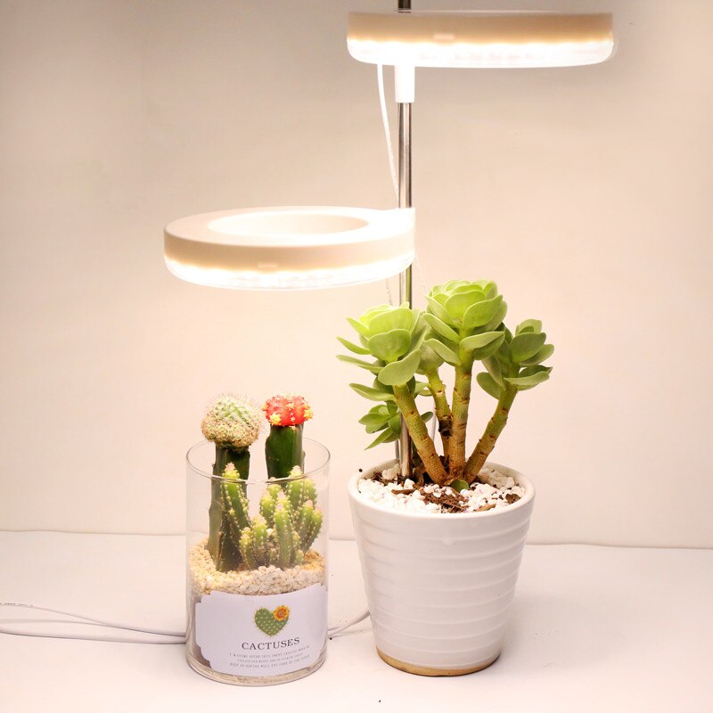 Angel Ring Plant Grow Light Circular Plant Light F... – Grandado