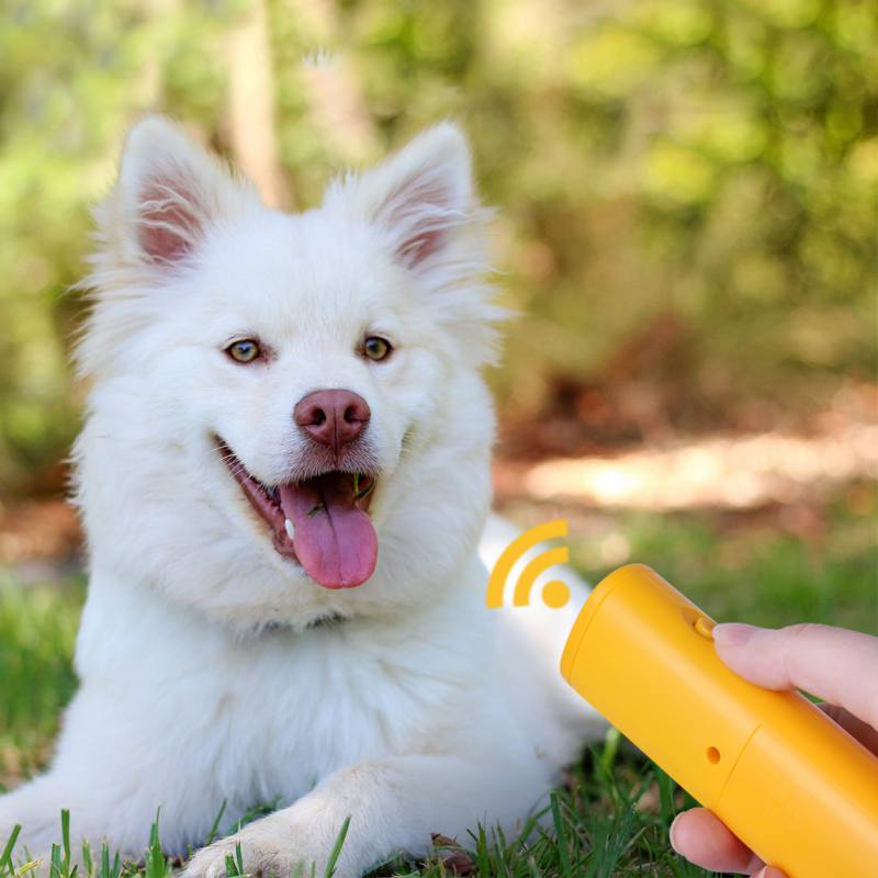 Practical And Simple Ultrasonic Drive Dog Propelle... – Grandado