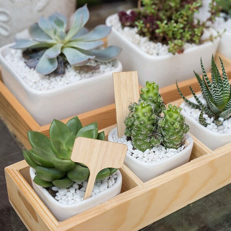 -50Pcs Bamboe Plant Label Bamboe Insert Bamboe Blo... – Grandado