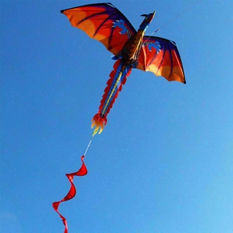 Outdoor Colorful 3d Dragon Flying Kite With 100m T... – Grandado