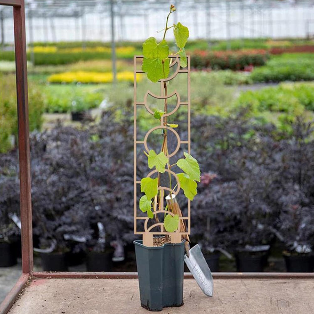 2pcs Plant Climbing Supports Plant Trellis Garden ... – Grandado