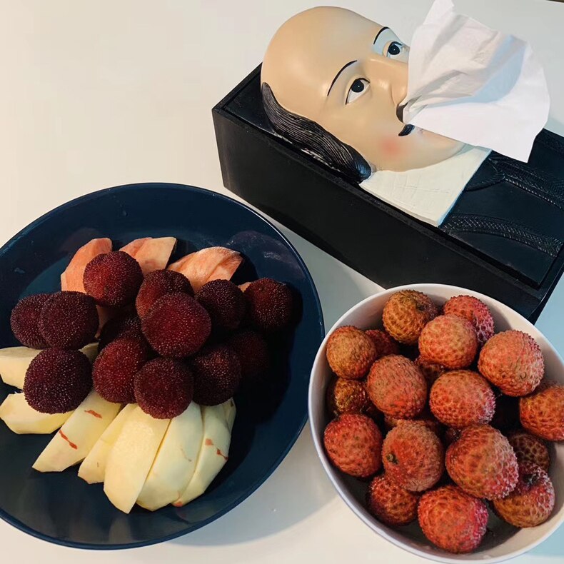 Custom Decorative Funny Tissue Box Shakespeare Fac... – Grandado