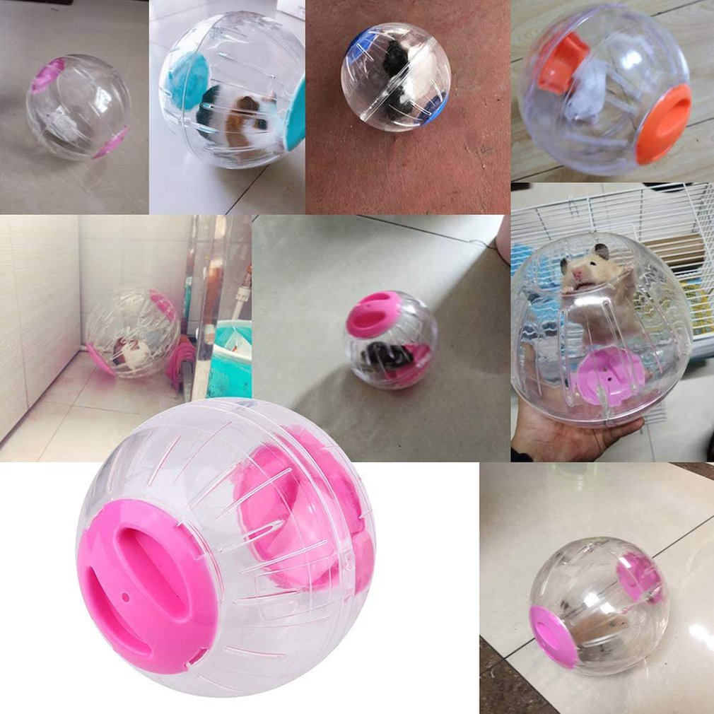 Pet Running Ball Plastic Grounder Jogging Hamster ... – Grandado