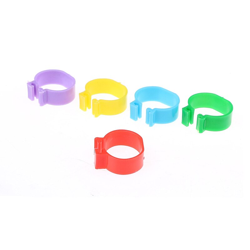 20 Stuks Binnen Diameter 2.0 Cm Kip Ring Kip Duif ... – Vicedeal