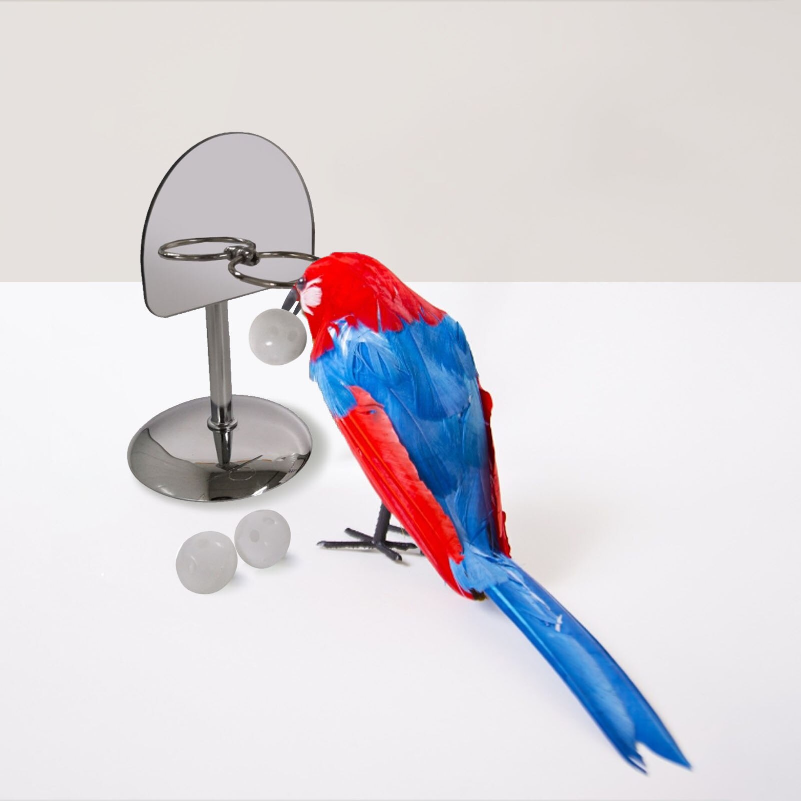 Bird Intelligence Training Toy Parrot Trick Tablet... – Grandado