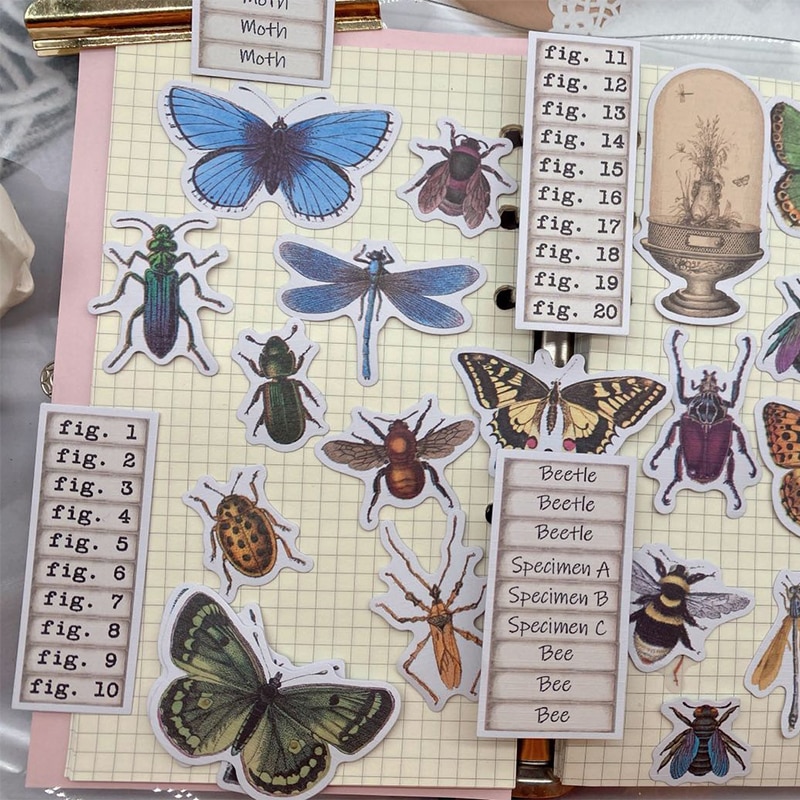 40Pcs Vintage Insect Wereld Sticker Diy Scrapbooki... – Grandado