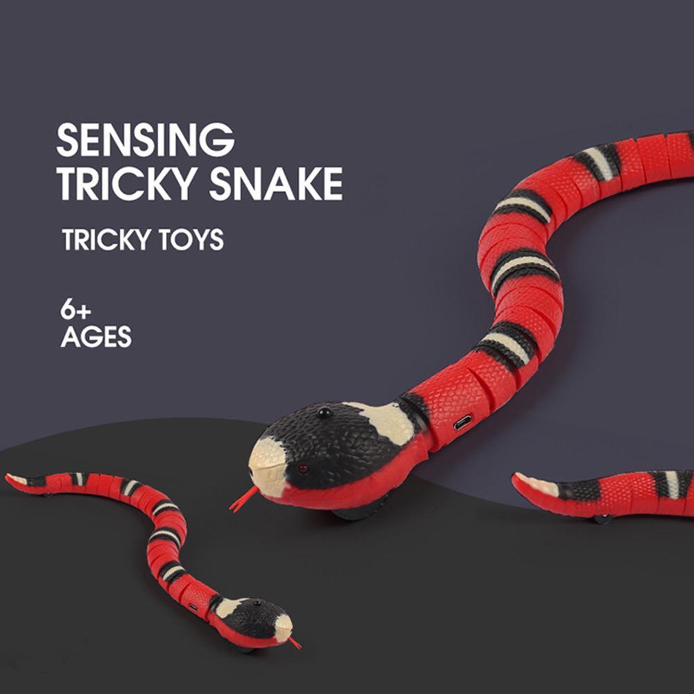 Smart Induction Snake Pet Toy Induction Snake Elec... – Grandado