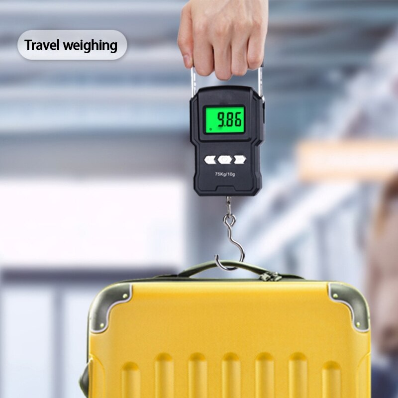 Mini Crane Scale Portable 165lb/75kg Heavy Duty Di... – Grandado