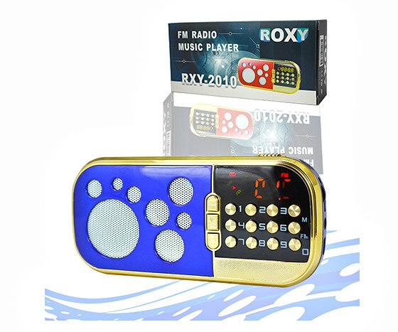 ROXY RXY RADIO MUSIC PLAYER FM * SD (18650 LITHIUM... – Grandado