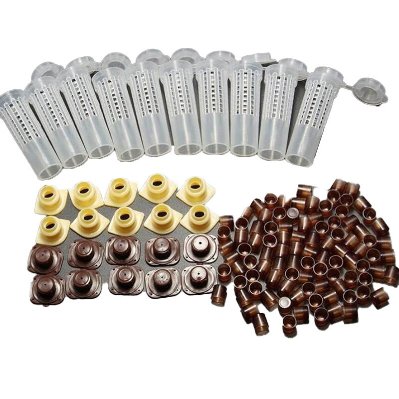 Complete Nicot Bee Queen Rearing Kit For Beekeeper... – Grandado