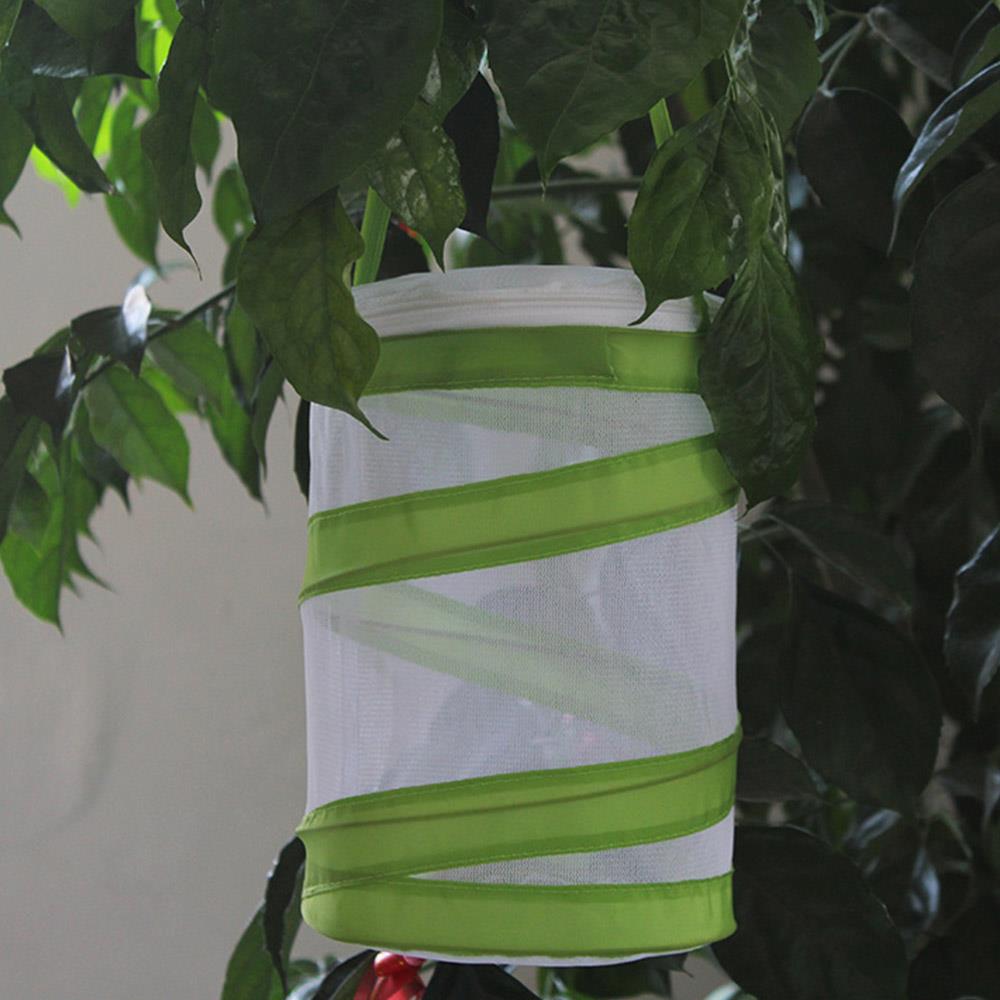 Green Mesh Pop-Up Insect Habitat Cage Cage Mini Me... – Grandado