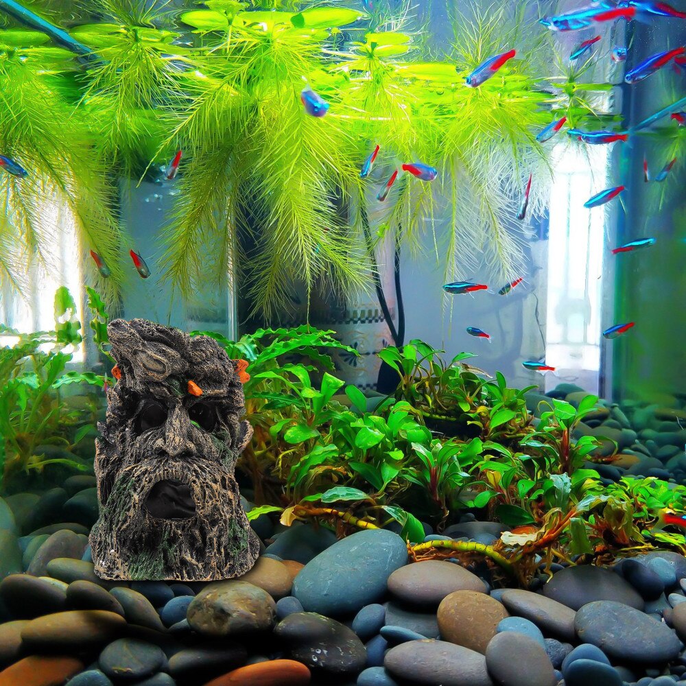 Reptile Terrarium Habitat Trunk Old Man Dragon Bea... – Vicedeal