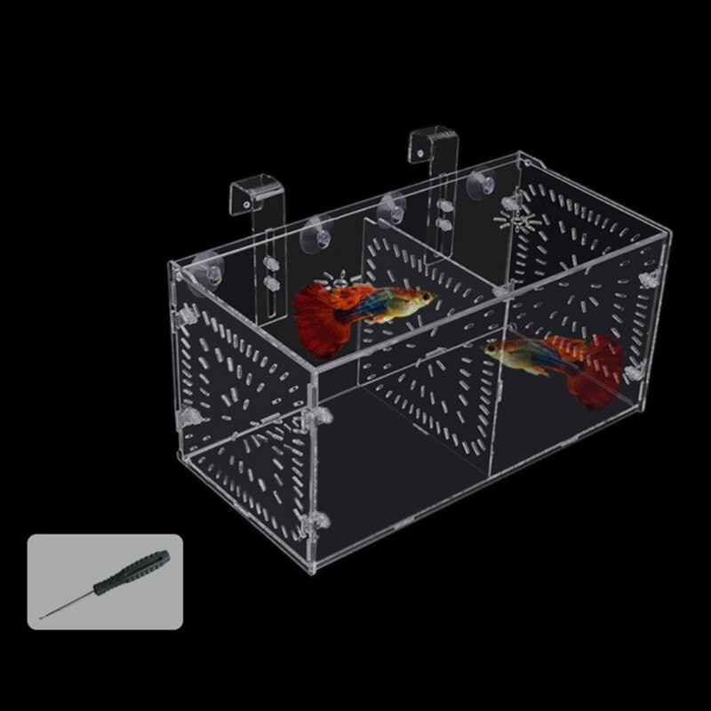 Fish Tank Aquarium Box Small Fish Isolation Tank T... – Grandado