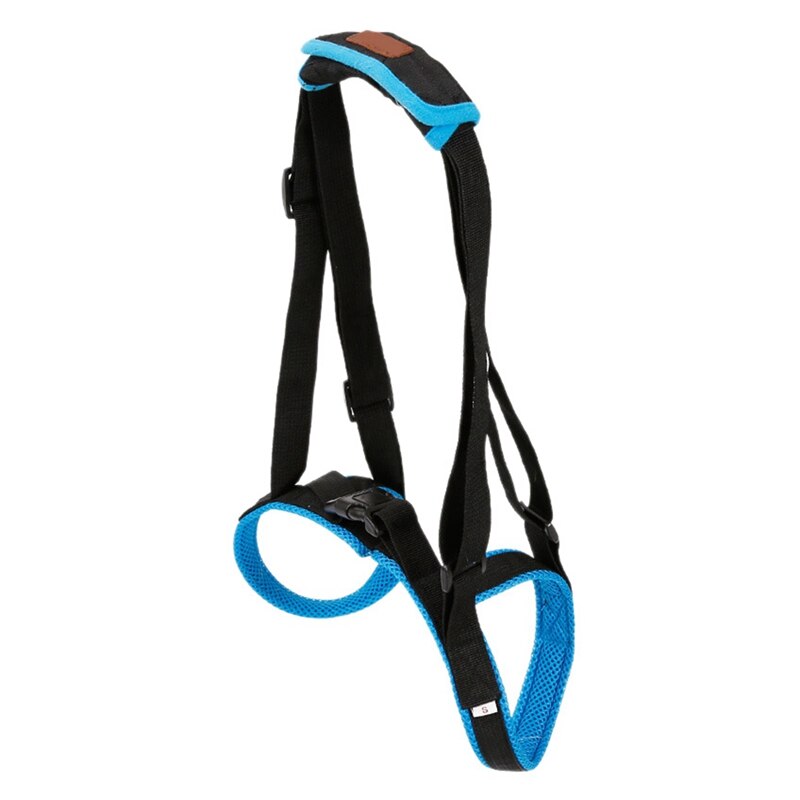 Pet Dog Back Leg Support Help Weak Legs Stand Up A... – Grandado