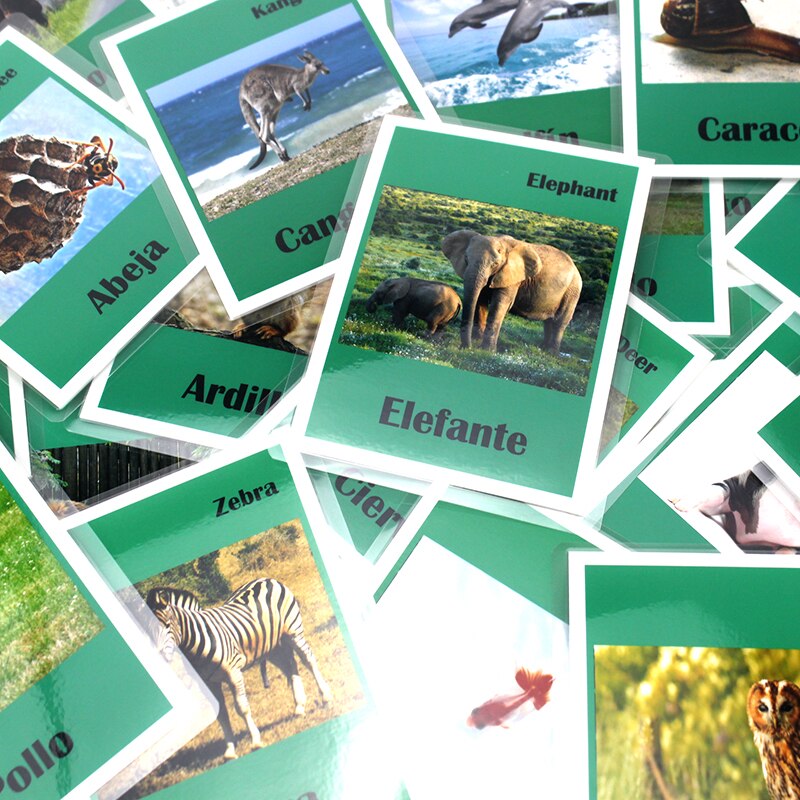 Tarjeta de palabras de animales en español/inglés,... – Grandado