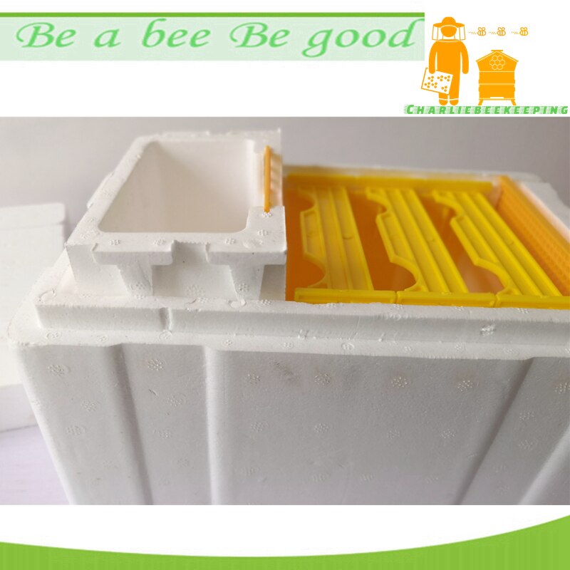 Mini Mating Box Removable Feeder, Complete Mini Ma... – Grandado