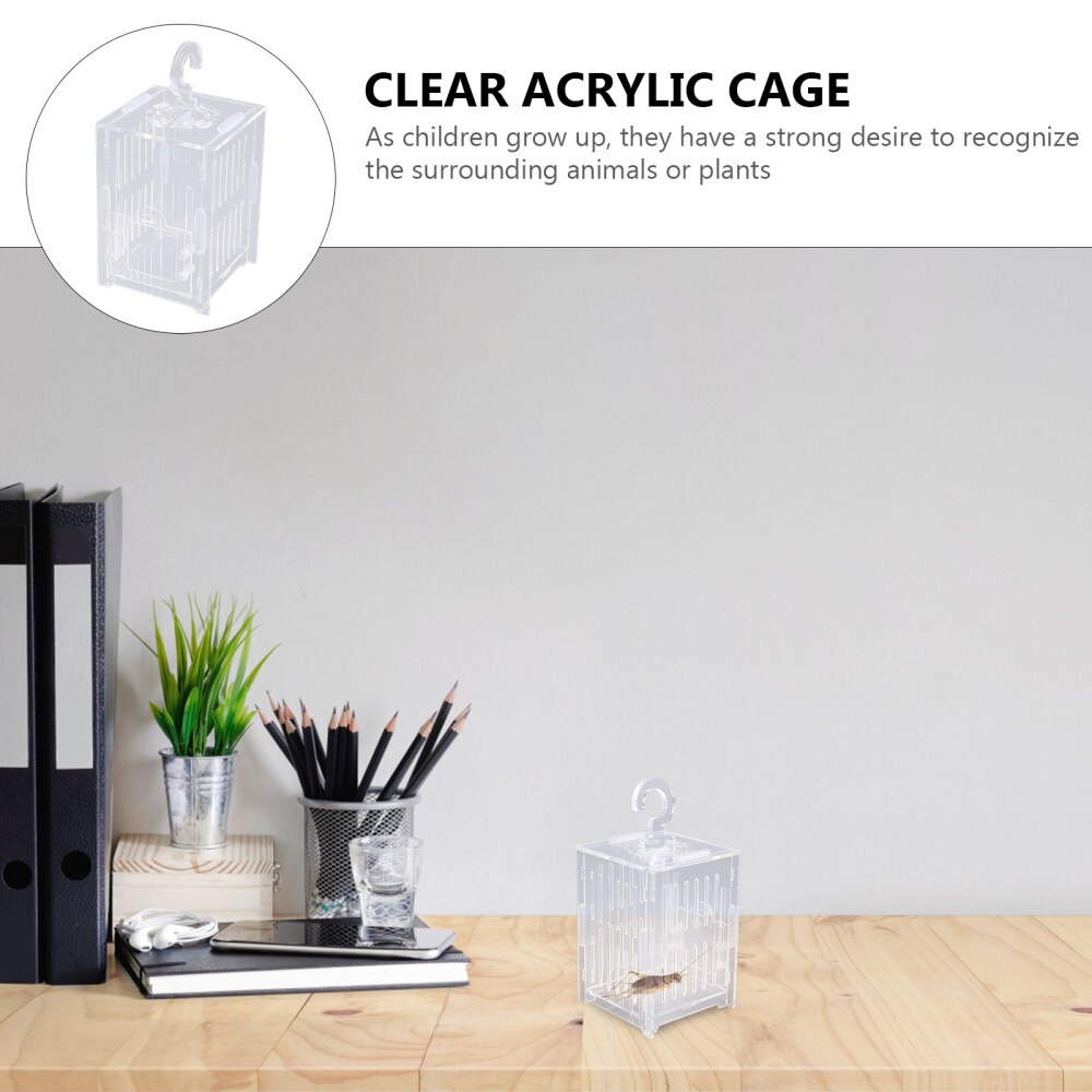 Insect House Bug Box Transparent Insect Cage Grass... – Grandado