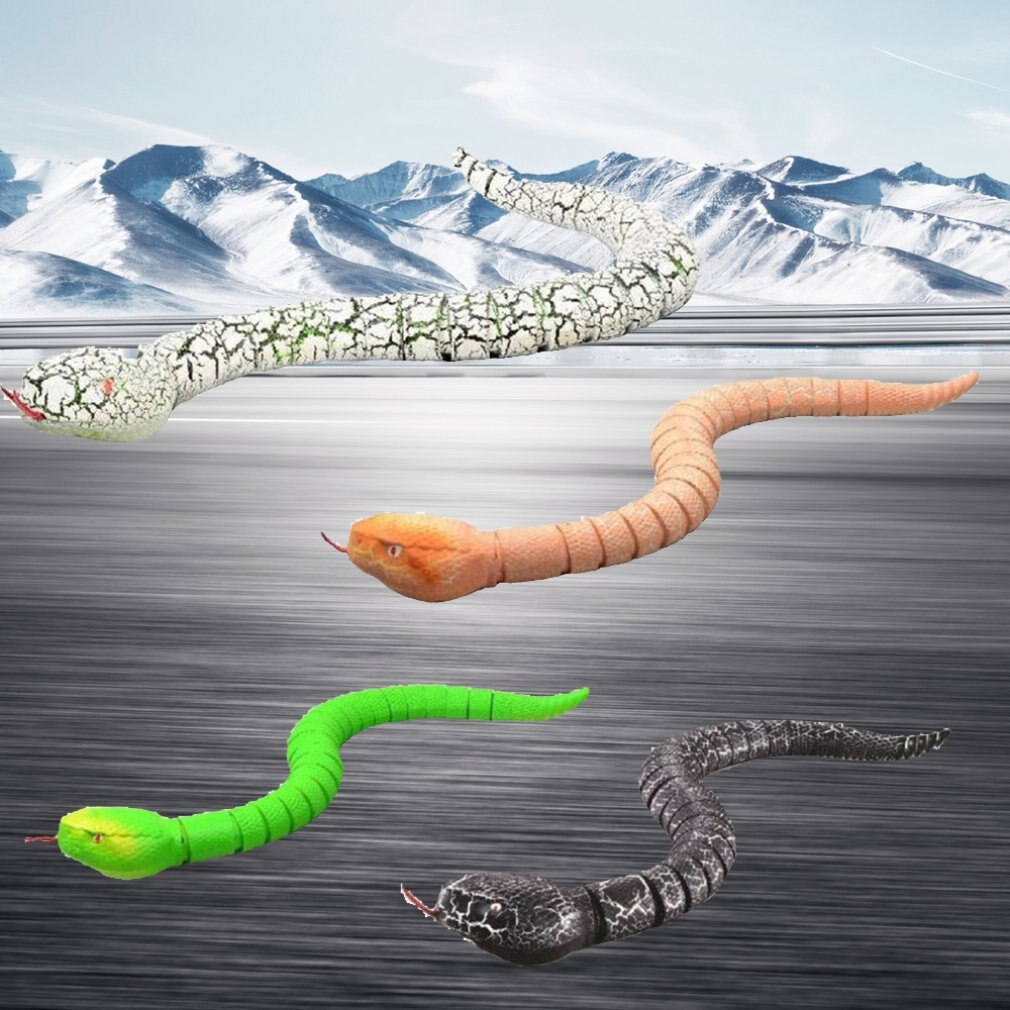 RC Animal Toys Kids Remote Control Snake Rattlesna... – Grandado