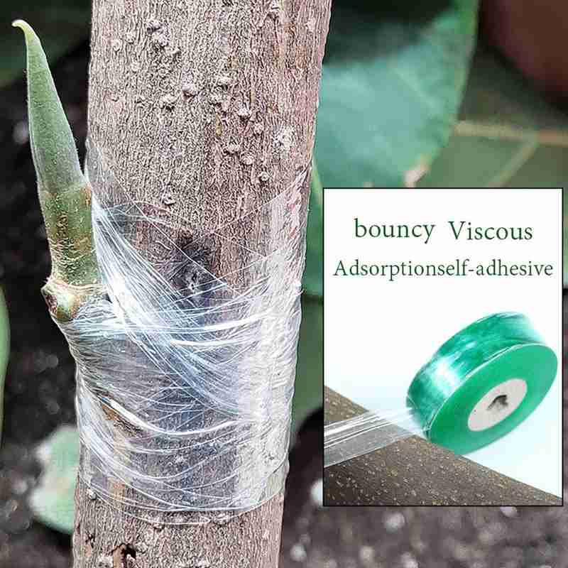 Grafting Tape Garden Tree Seedling Self-adhesive S... – Grandado
