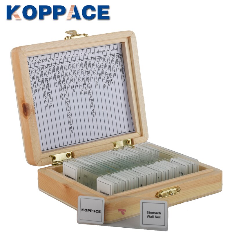 KOPPACE 25 Slices Of Biological Tissue Slides Wood... – Vicedeal