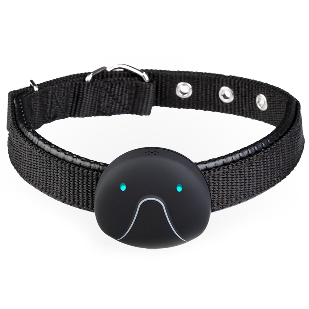 Smart Pet GPS Location Tracker Pet GPS Dog / Cat C... – Grandado