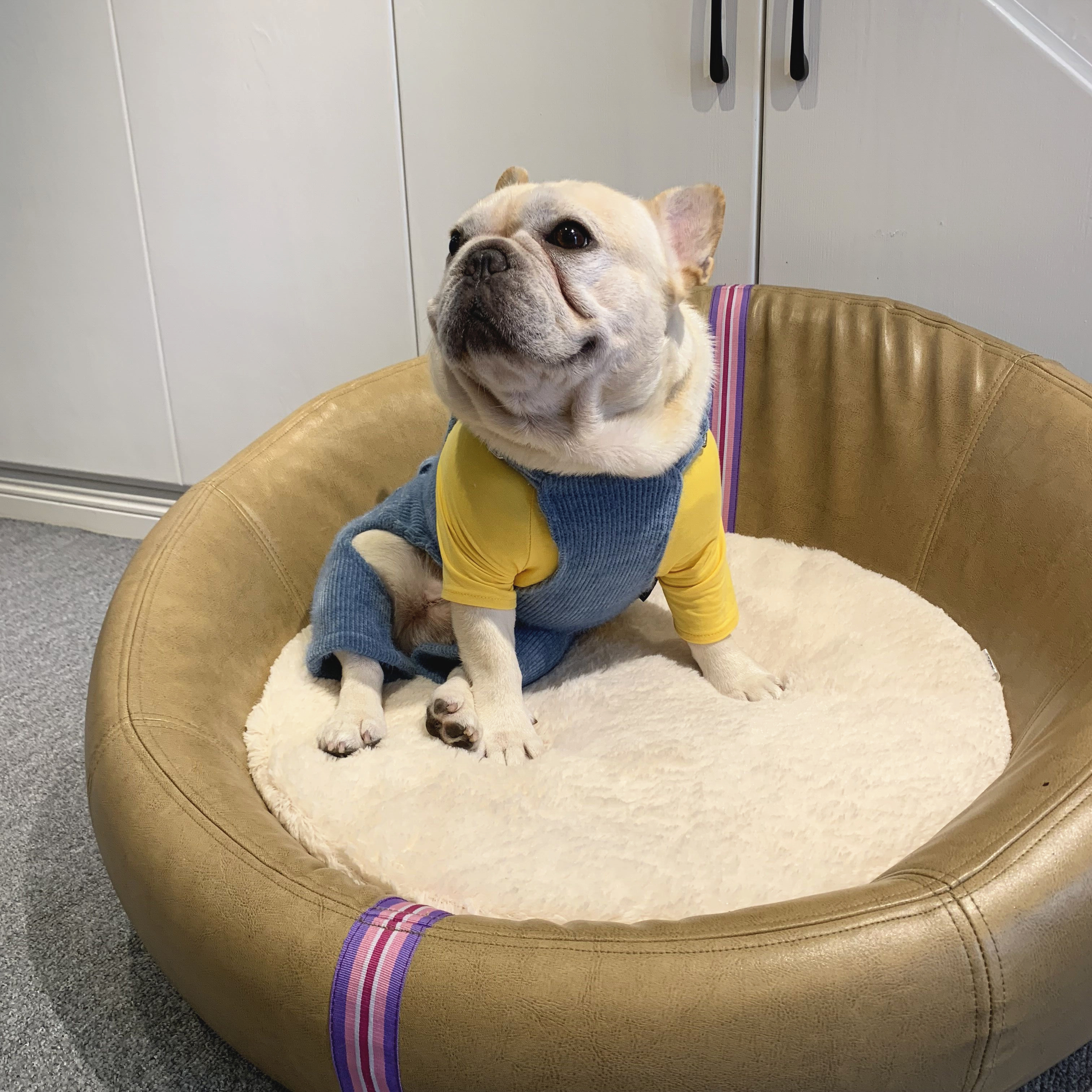 Dog Jumpsuit Winter Clothes for Cats Pink Cloth It... – Vicedeal