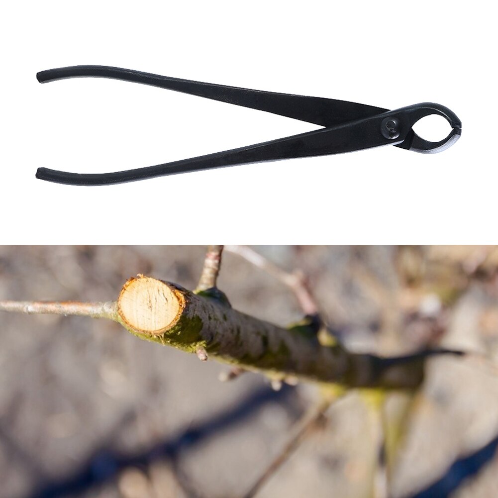 Professionelle Anlage Zweig Cutter Runde Kante Bon... – Grandado