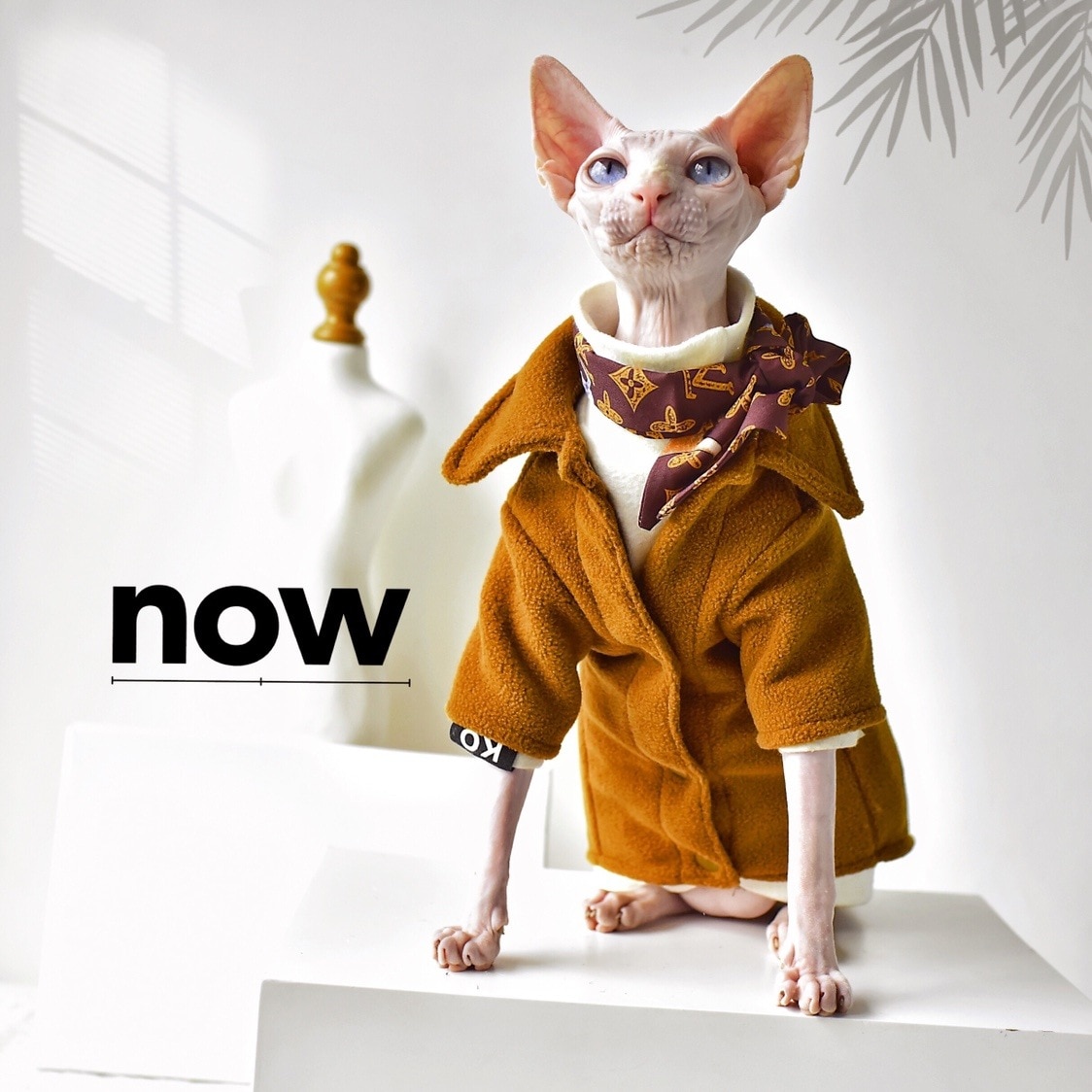 Sphynx Clothes Winter Warm Plush Pet Cat Shirts Th... – Grandado