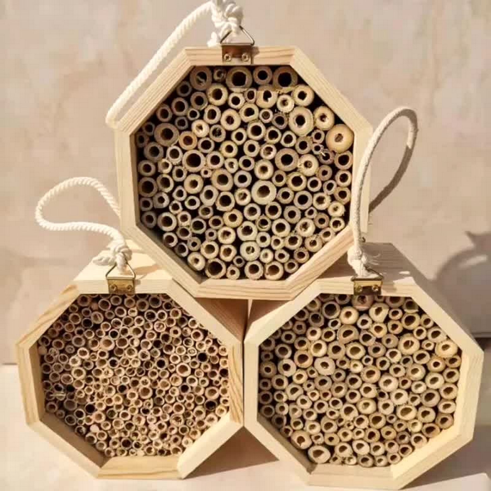 Octagonal Shape Bee Hive Wooden Insect Hotel Carpe... – Grandado