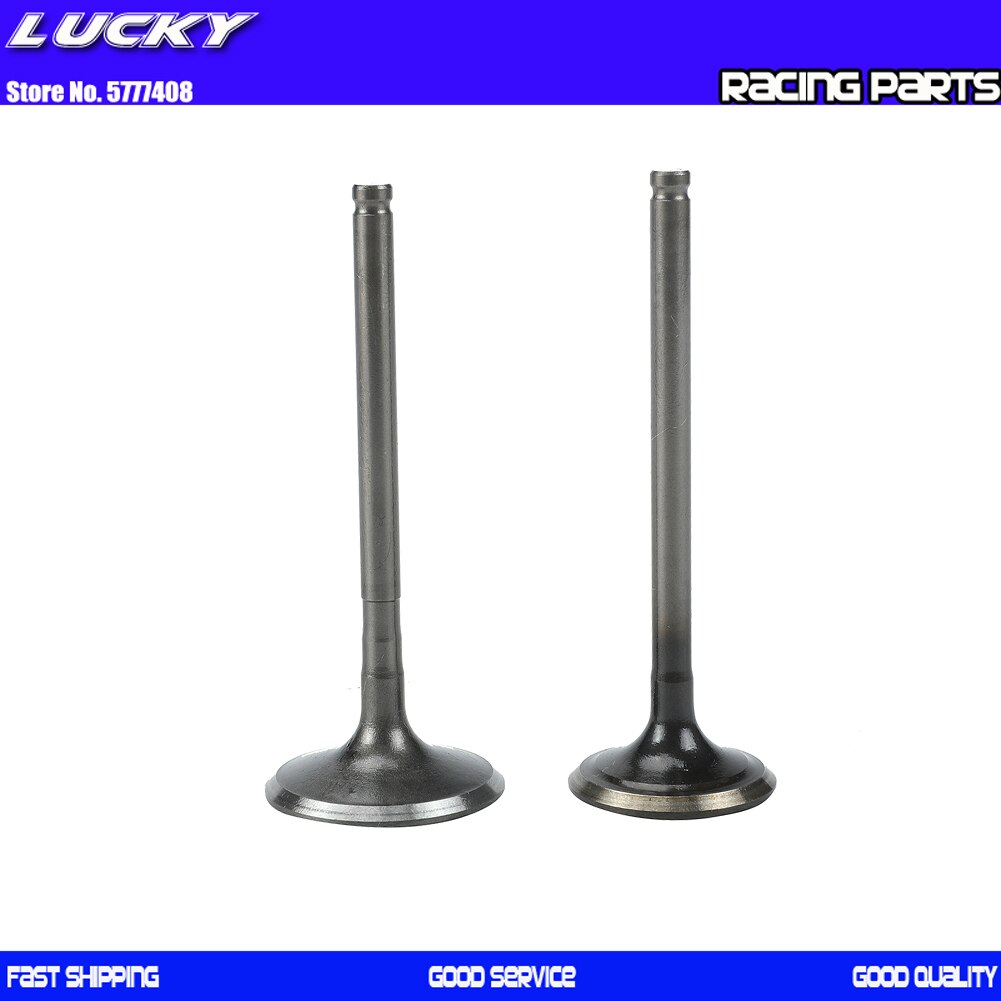 190cc Motorcycle Intake Exhaust Valves Kit For 2V ... – Vicedeal
