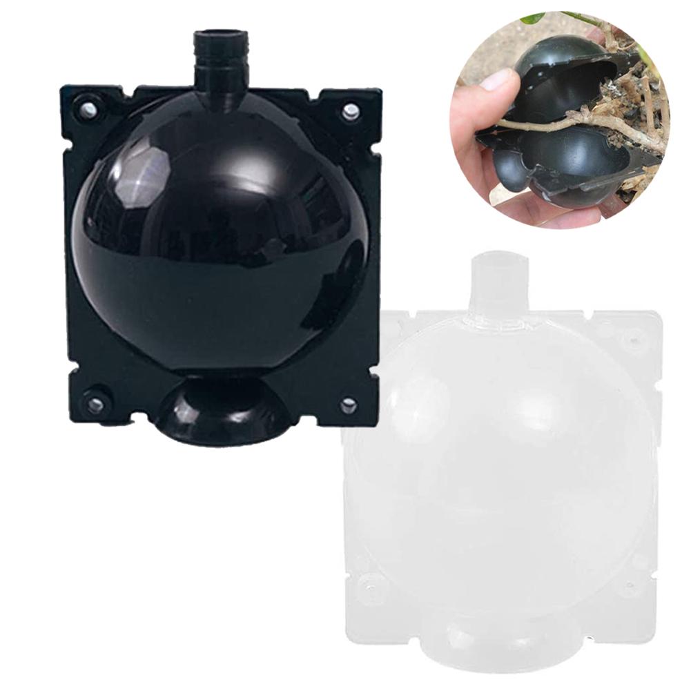Plant Rooting Box Reusable Plant Propagation Ball ... – Vicedeal