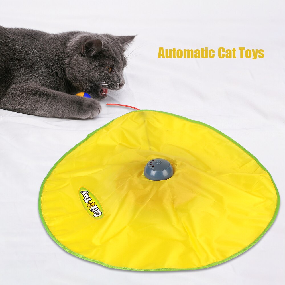 Electric Cat Toy Plate For Cat Kitty 4 Speeds Moti... – Grandado