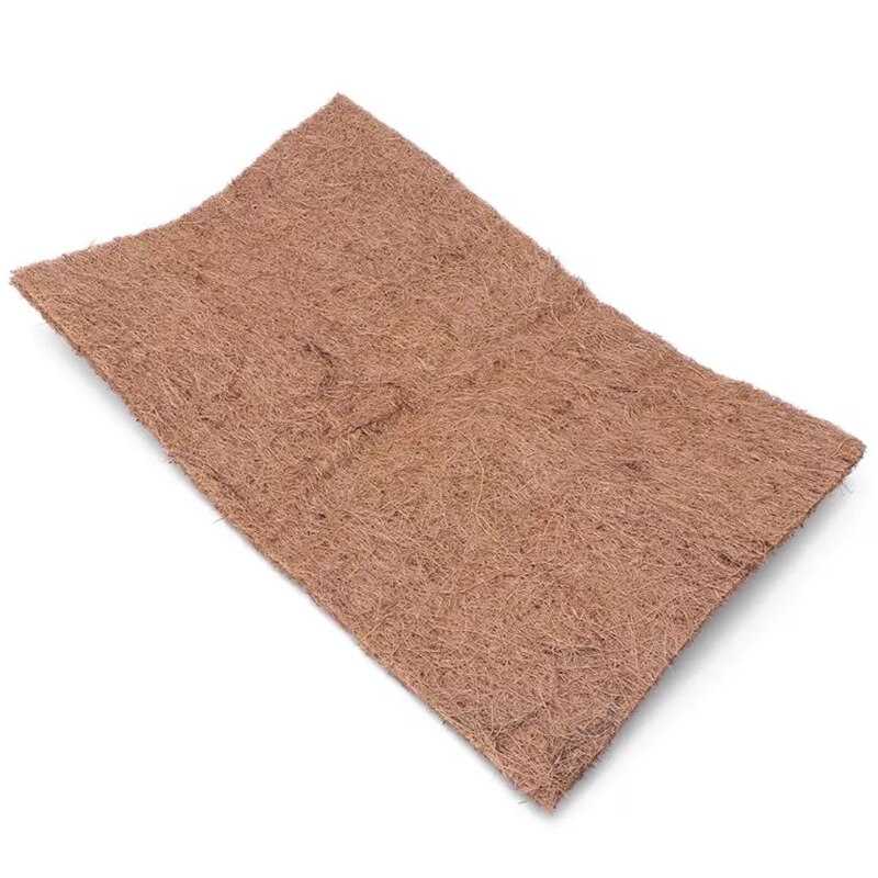 Reptile Bed Mat Tortoise Lizard Climbing Pet Speci... – Grandado