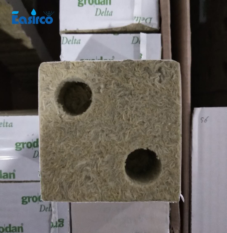 Two hole Grodan 4'' rockwool hydroponic grow media... – Grandado