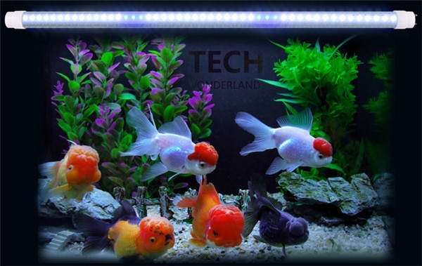 High class Aquarium LED lamp fish tank light tube ... – Grandado