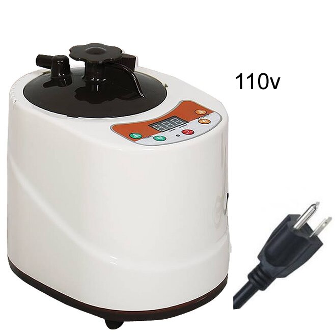 Steam Generator 3L 1000W Timing Herbal Fumigation ... – Vicedeal