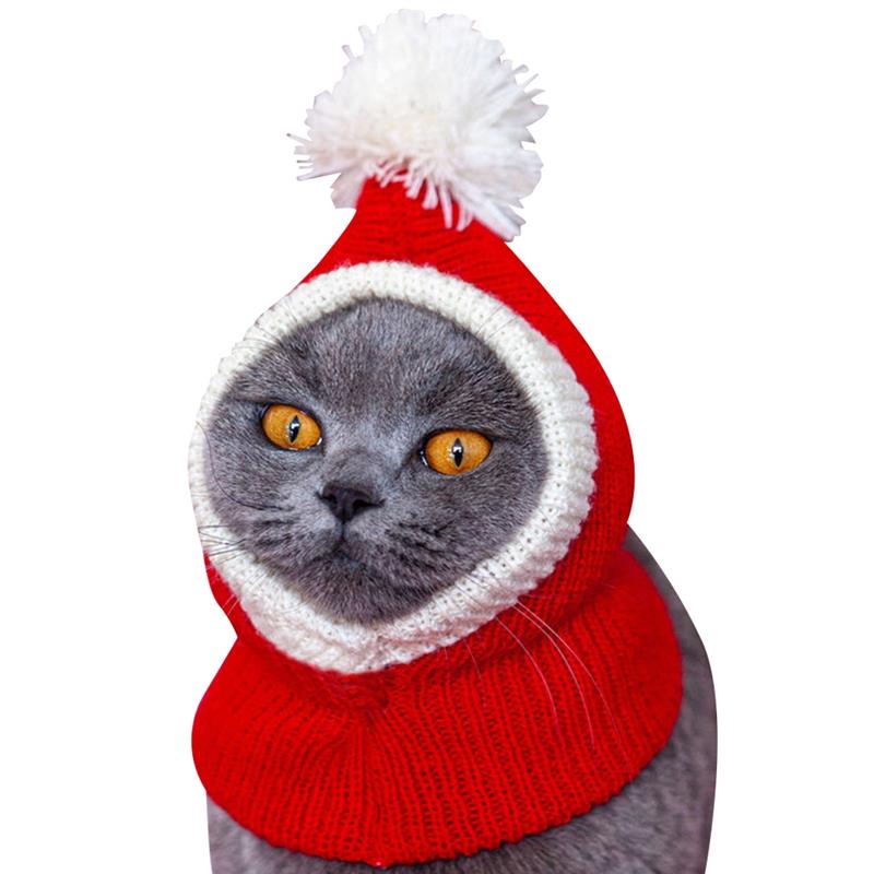 Funny Pet Hond Kat Cap Kostuum Warm Konijn Hoed Ja... – Vicedeal