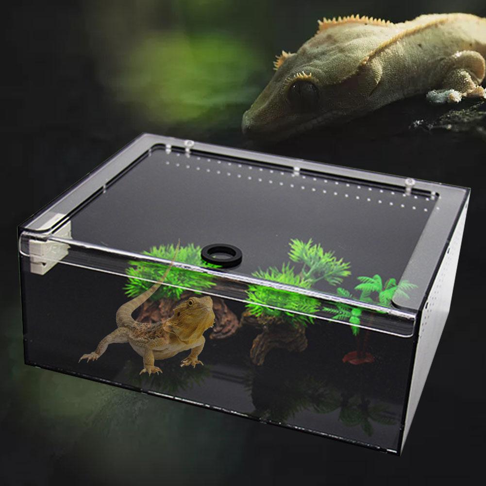 Clear Reptile Breeding Box Small Large Breathable ... – Vicedeal
