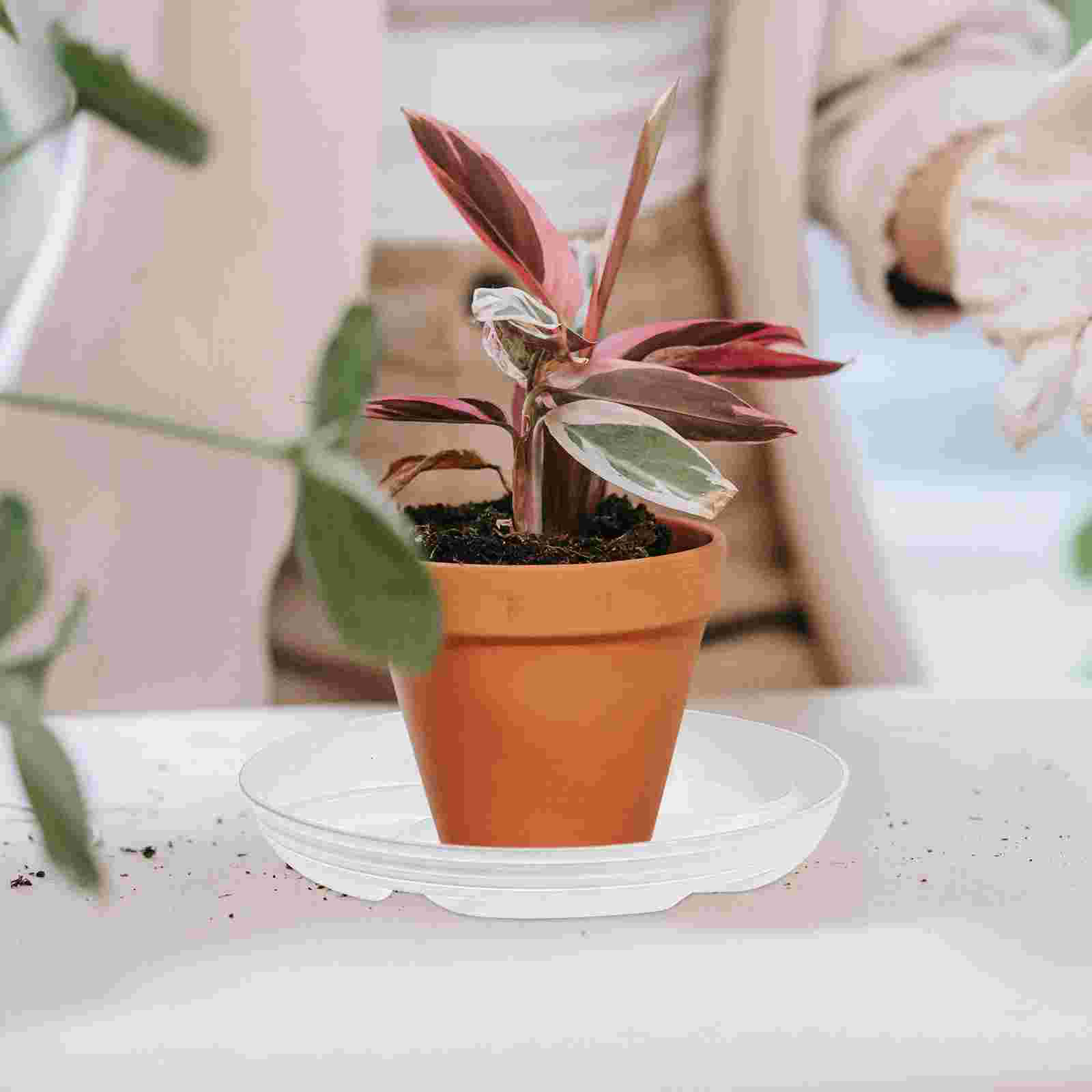 5Pcs Plant Pot Base Trays Ronde Bloempot Waterbak ... – LovingPrices