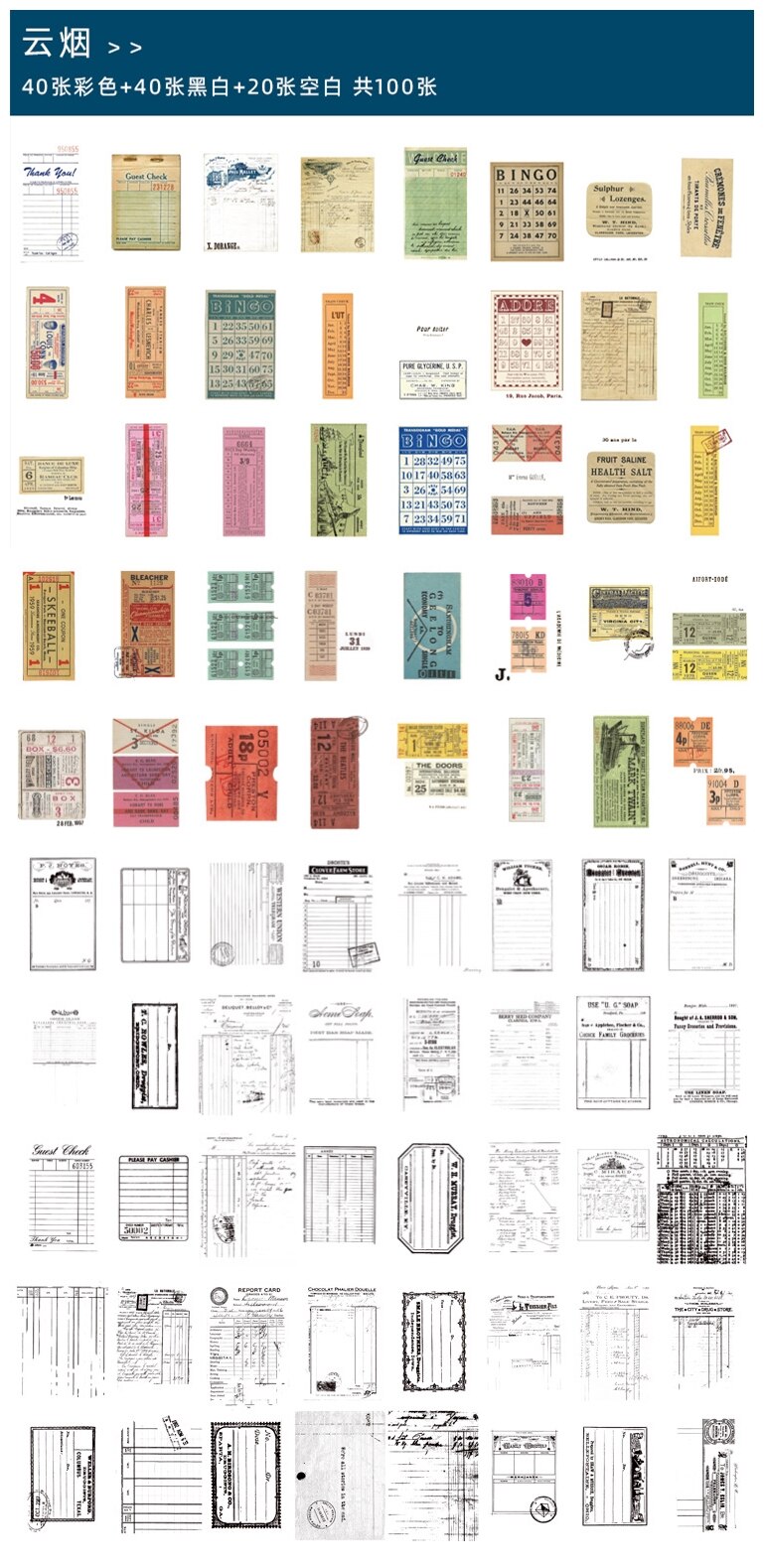 Vintage Plantillustrated Bullet Journal Transparen... – Vicedeal