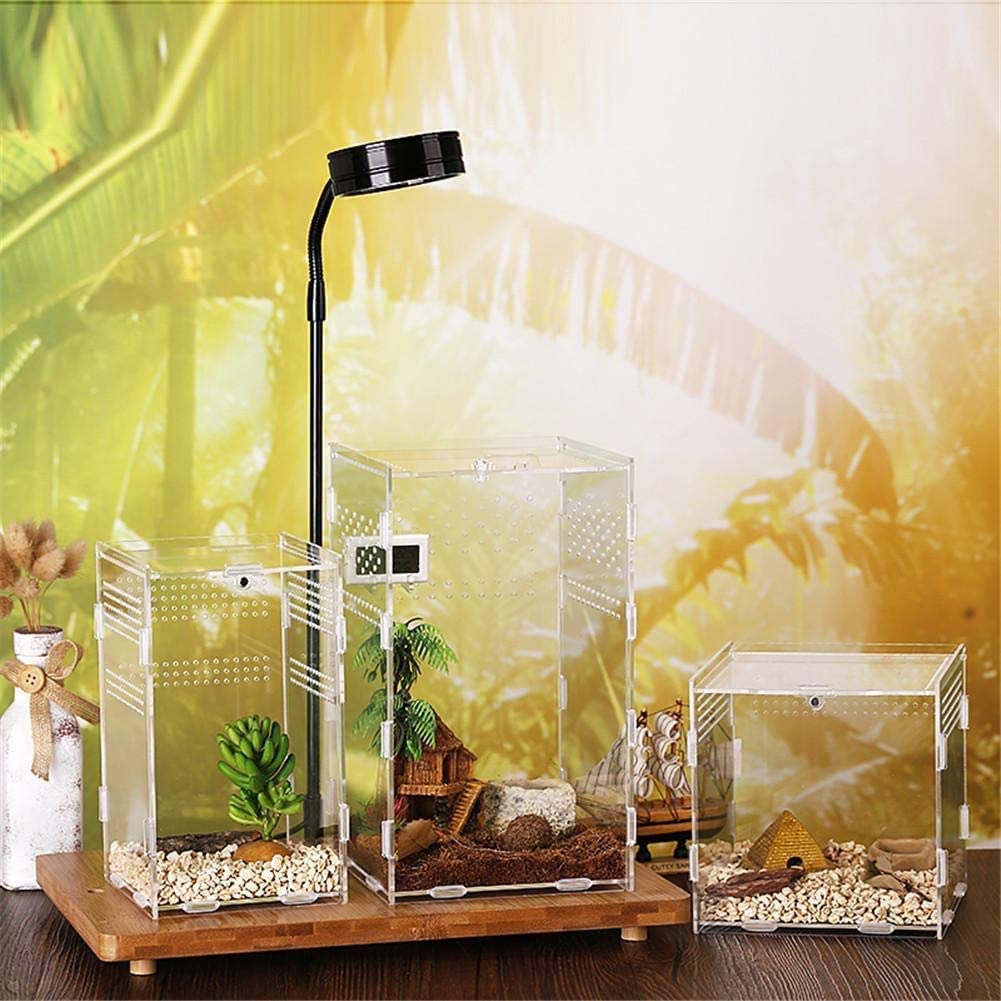 Reptile Habitat-Insect Feeding Box for Reptiles an... – Vicedeal