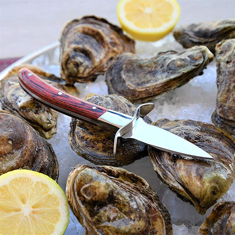 Kitchen Clam Oyster Knife Stainless Steel Knife Wi... – Grandado