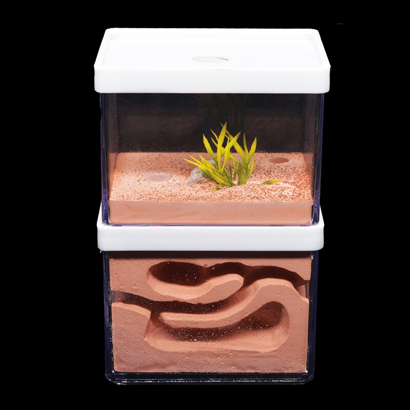 Big Ant Nest Insect Castle ant farm house with Fee... – Grandado