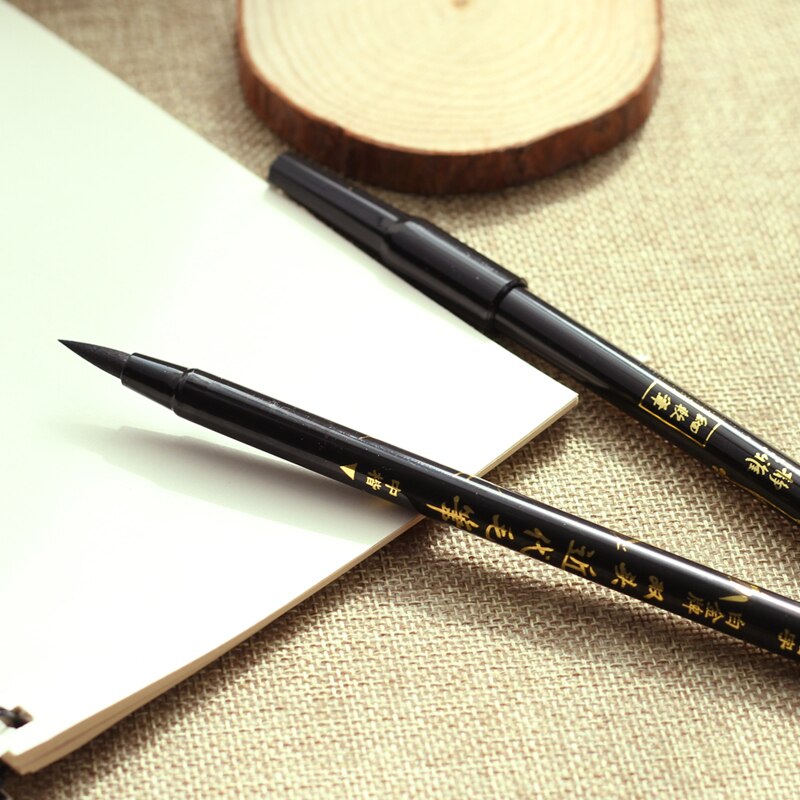 Platinum CFW-300 Twin Tip Brush Pen Scientific Calligraphy Pen Japan ...
