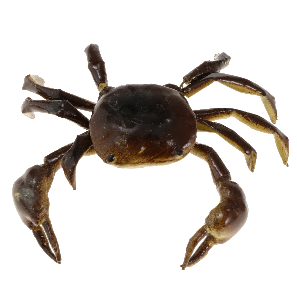 Highly Simulated Clay Insects Animals Model Toys f... – Vicedeal