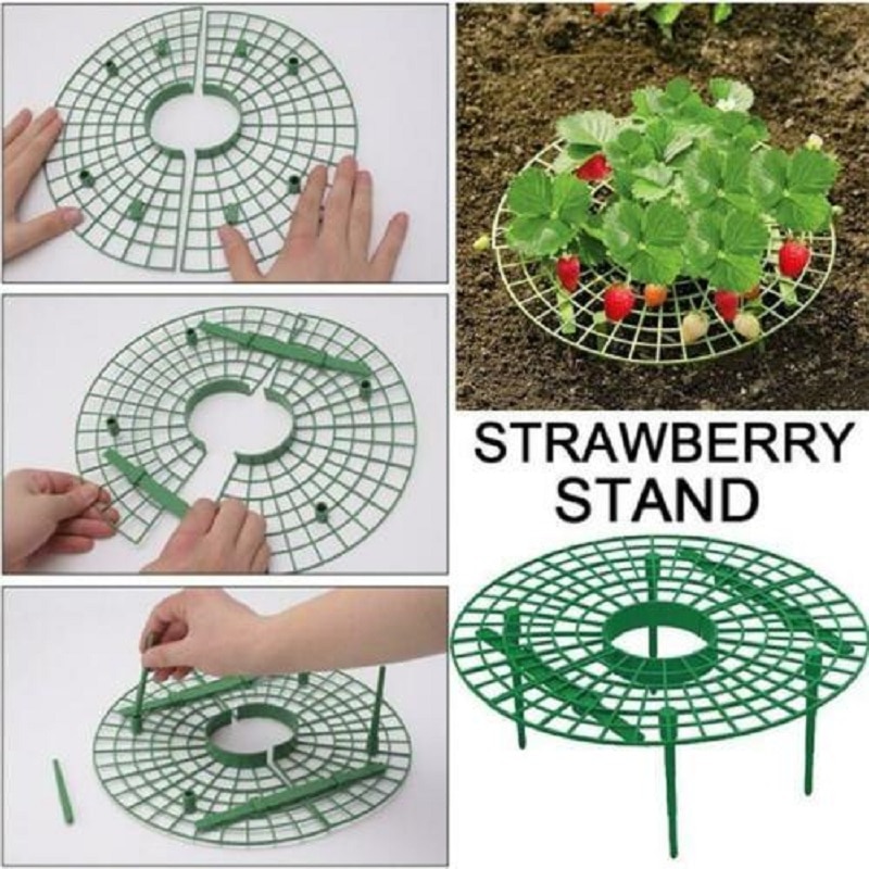 5/10/15 PCS Strawberry Stand Frame Holder Balcony ... – Grandado