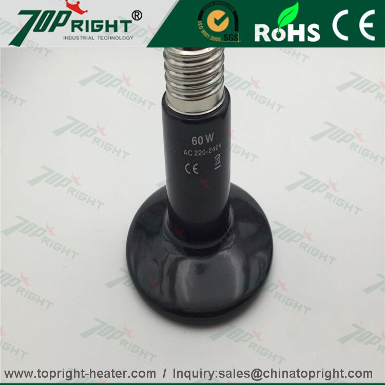 75x102mm 150W Infrared ceramic heat lamp for anima... – Vicedeal