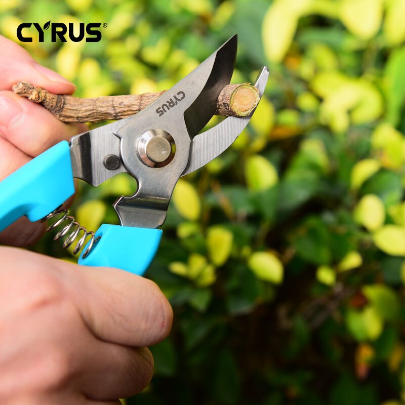 Classic Shears Pruner Cutter Secateurs Pruning Sci... – Grandado