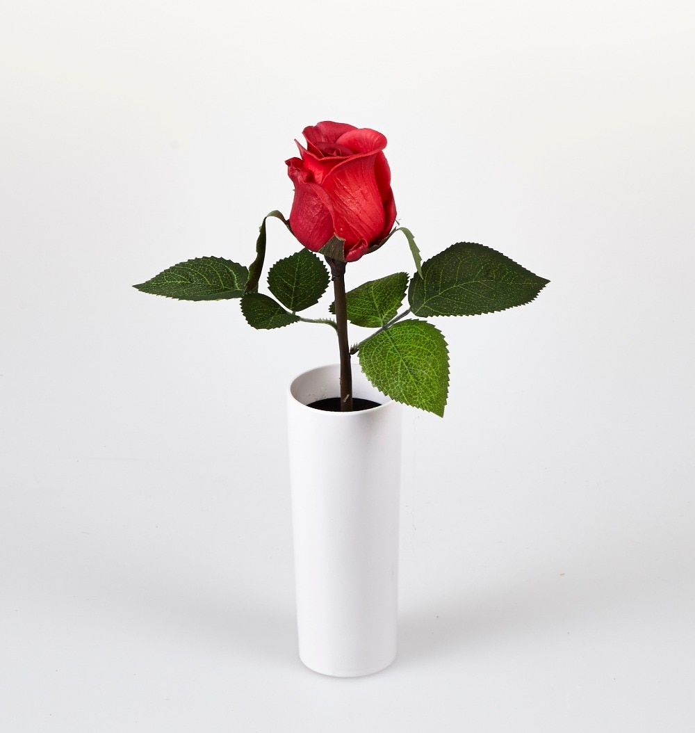11" Height Single Blossom Rose Flower Light with 2... – Grandado
