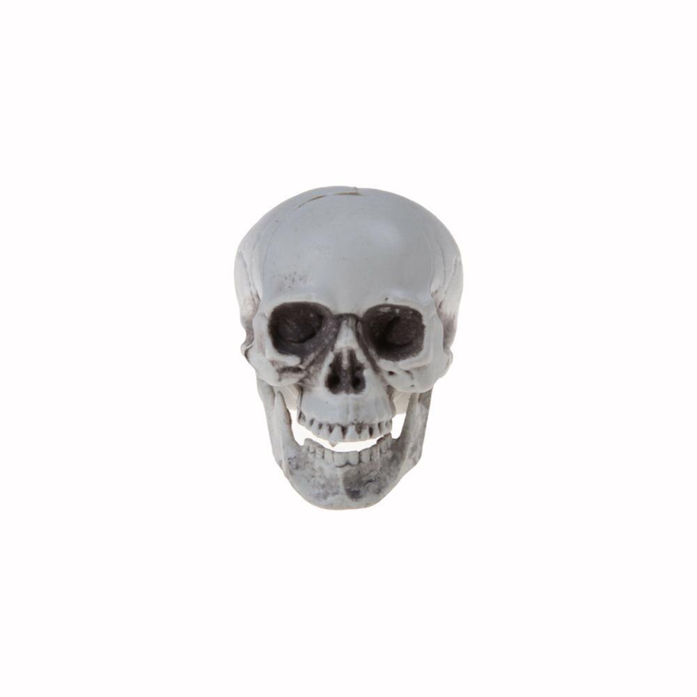 Halloween Decorations Artificial Skull Head Model ... – Vicedeal